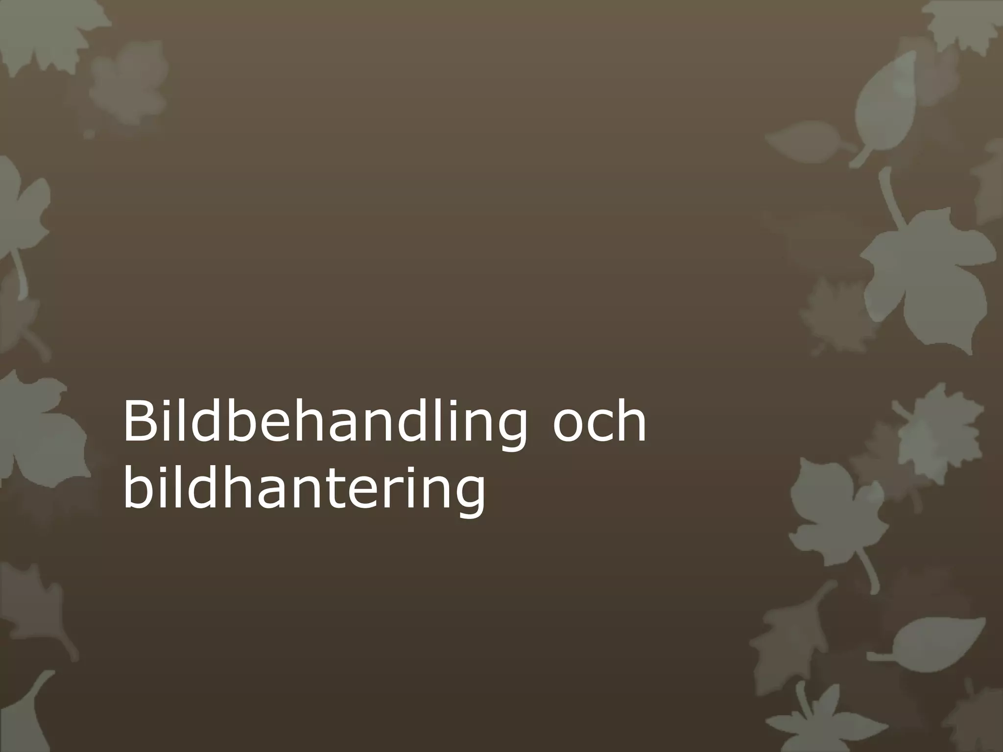 Bildbehandling och bildhantering | PPTX