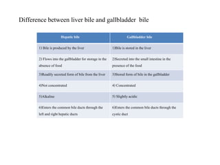bile.pptx