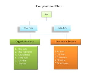 bile.pptx