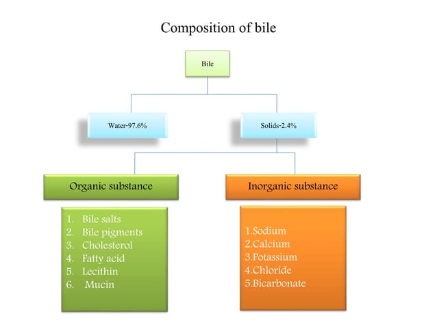bile.pptx