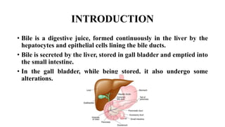 Bile.pptx