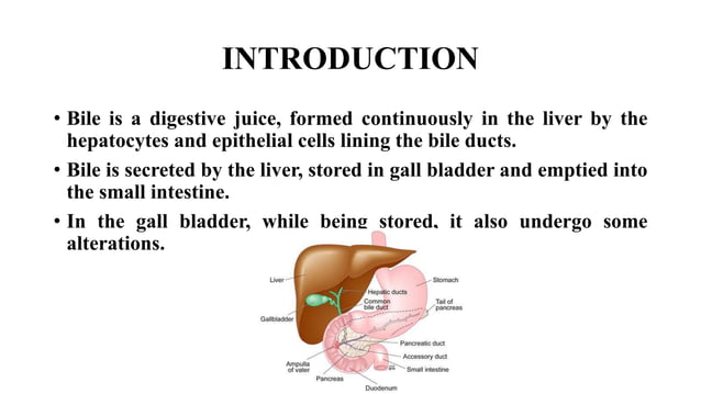 Bile.pptx