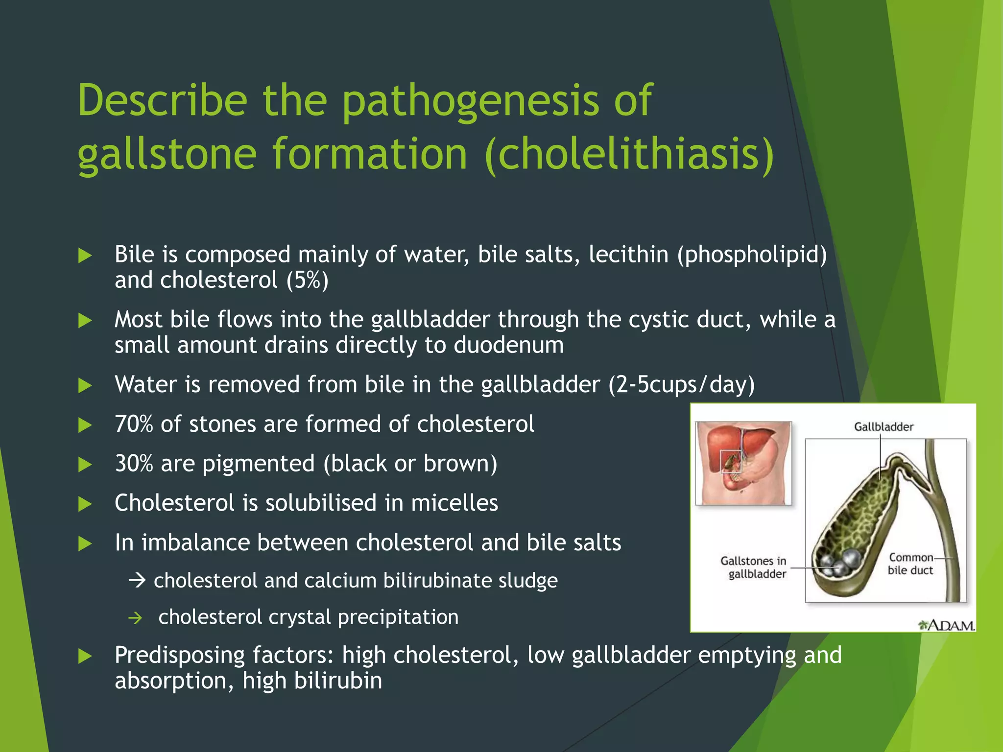 Bile: a review of the biliary system | PPSX
