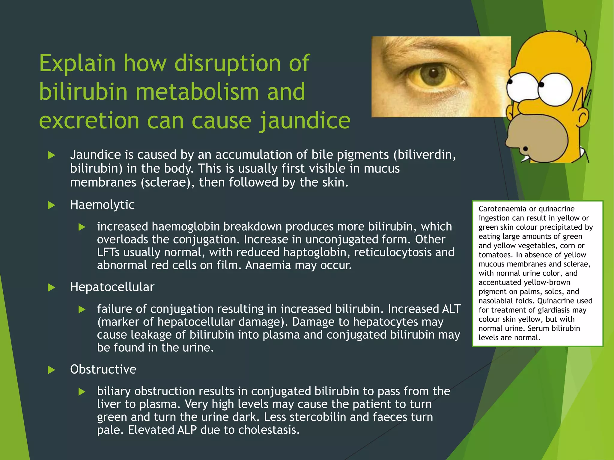 Bile: a review of the biliary system | PPSX