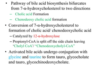 bile acid.ppt.pptx