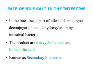 bile acid.ppt.pptx