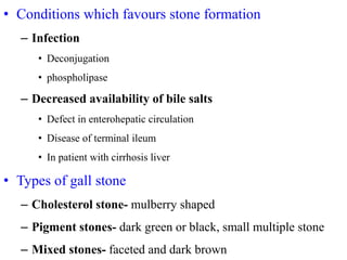 bile acid.ppt.pptx
