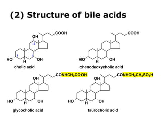 bile acid.ppt.pptx