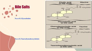 Bile acid metabolism.power point presentation | PPTX