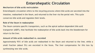 Bile acid metabolism.power point presentation | PPTX