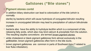 Bile acid metabolism.power point presentation | PPTX
