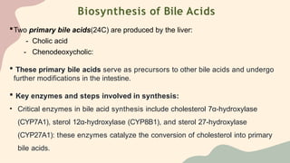 Bile acid metabolism.power point presentation | PPTX