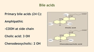 Bile acid metabolism.power point presentation | PPTX
