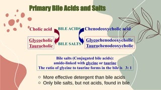 Bile acid metabolism.power point presentation | PPTX
