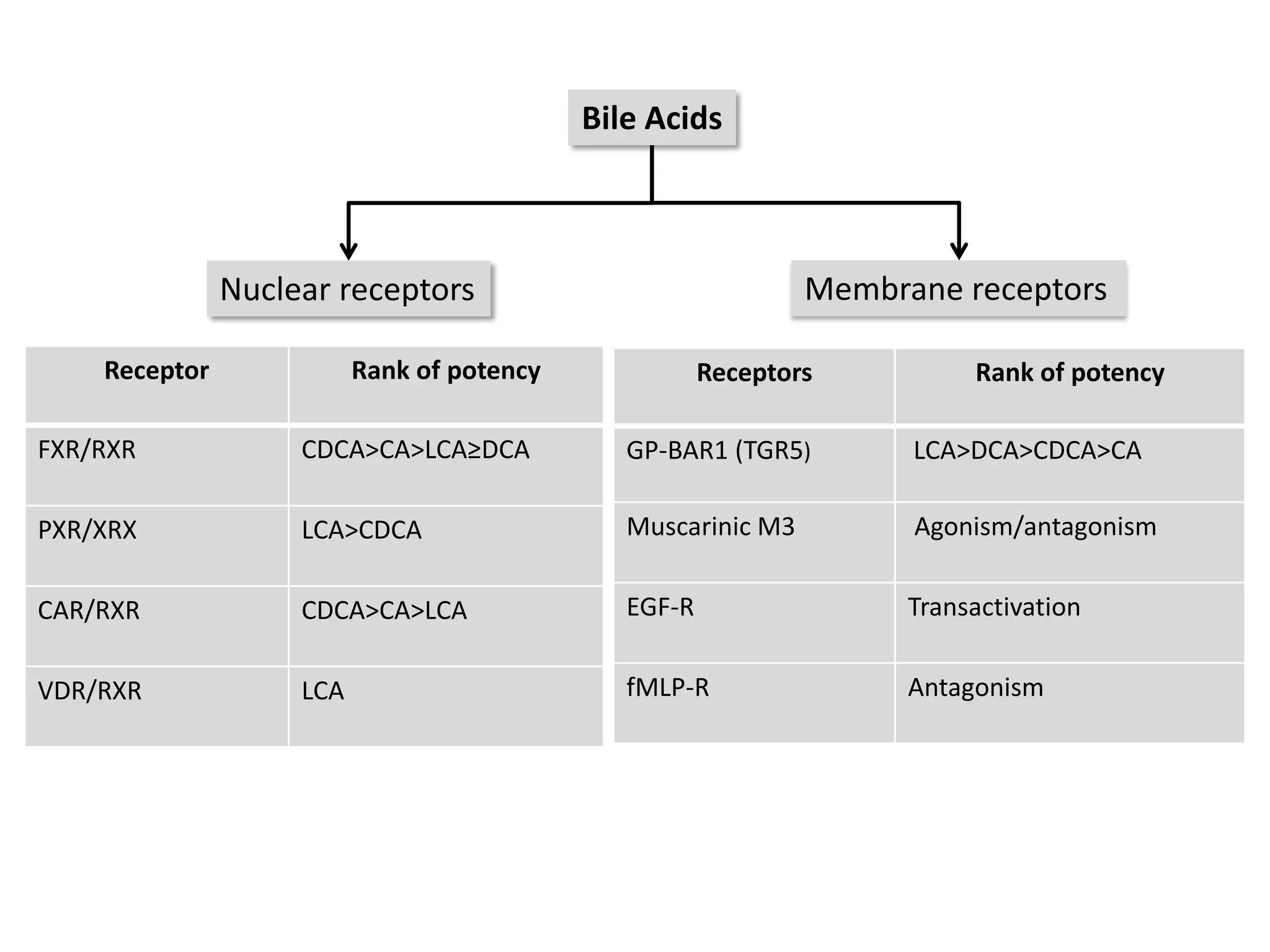 Bile acids and fxr and nsaids | PDF