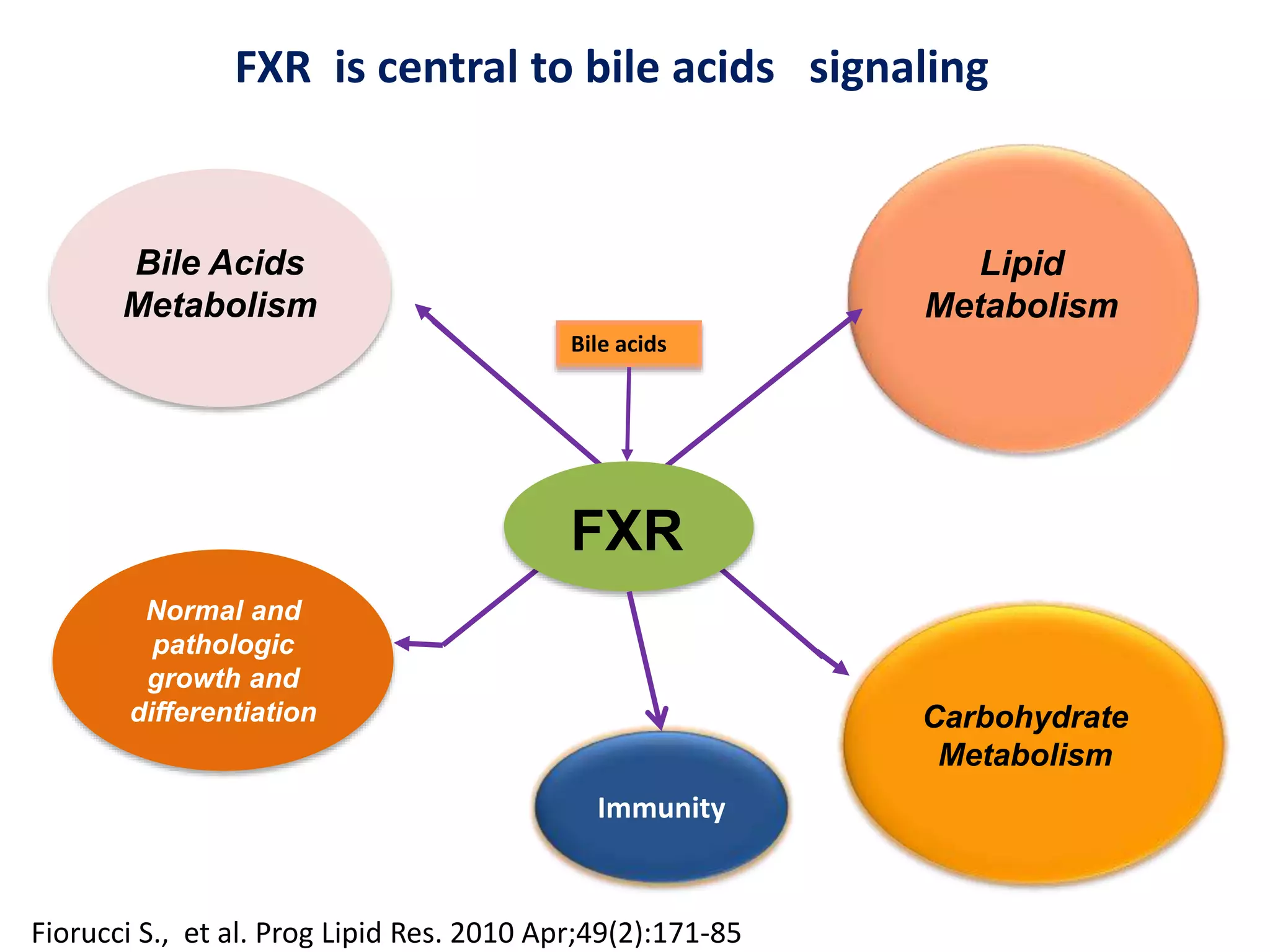 Bile acids, microbiota and nuclear receptors | PPTX