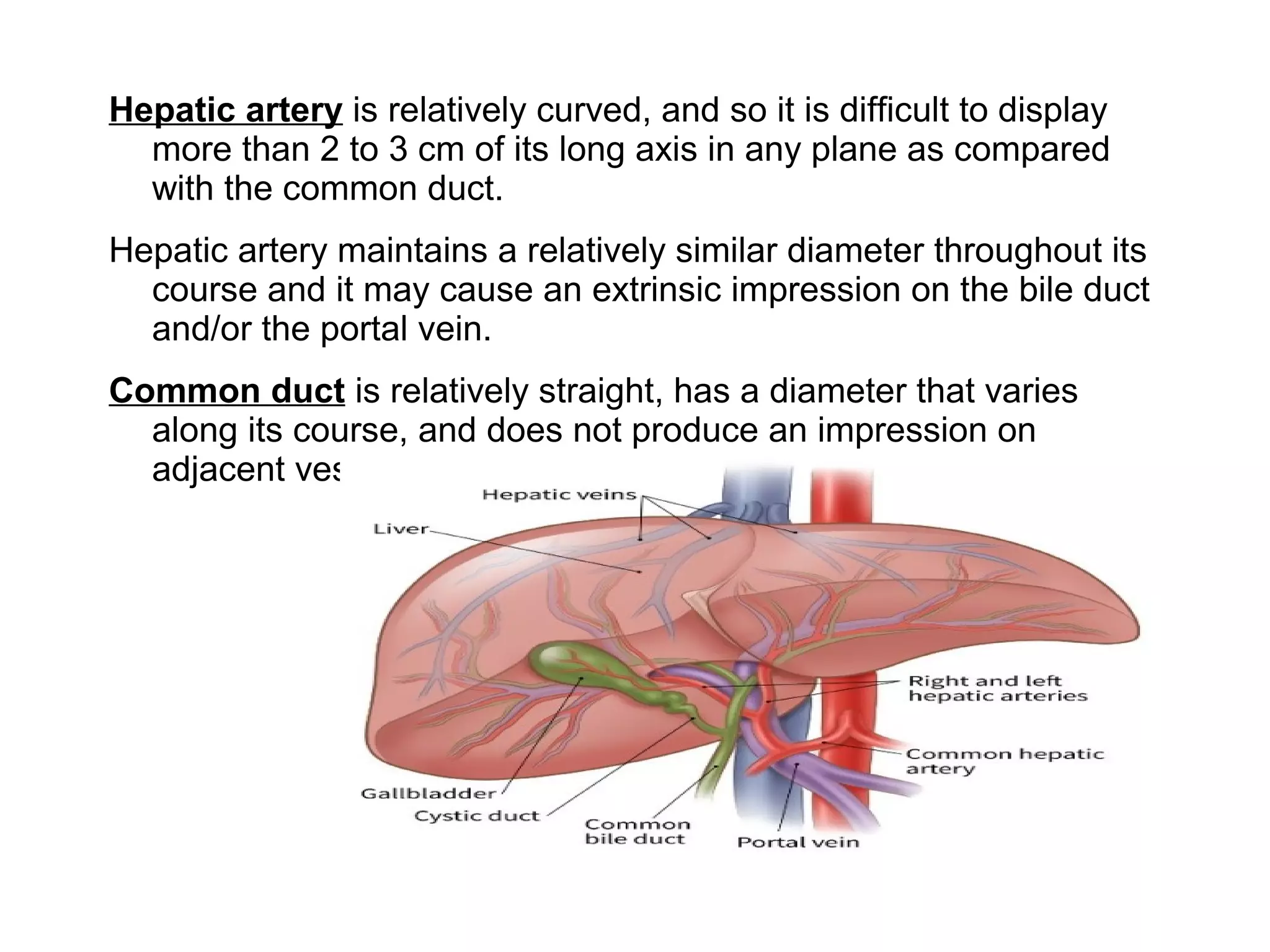 Bile duct Ultrasound | PPT