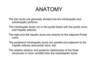 Bile duct Ultrasound | PPT