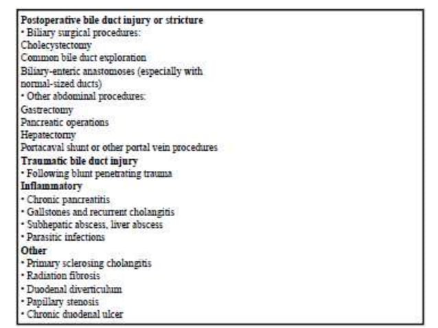 Bile duct injuries | PPSX