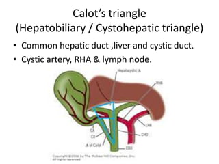 Bile duct injuries | PPT
