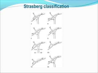 bileductinjuries | PPT