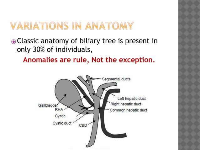 Bile duct injuries | PPTX | Digestive Disorders | Diseases and Conditions