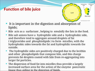 Bile_Juice main juice of lipid metabolism | PPT