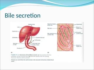 Bile_Juice main juice of lipid metabolism | PPT