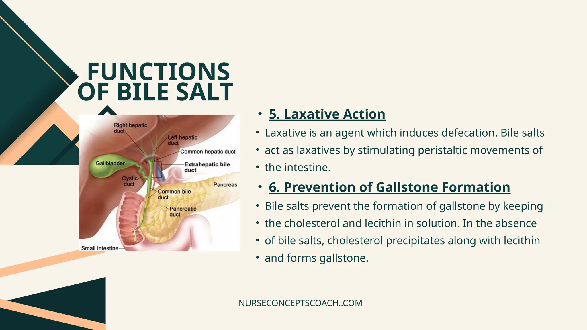 Bile juice, bile pigment, bile salts ppt | PPTX
