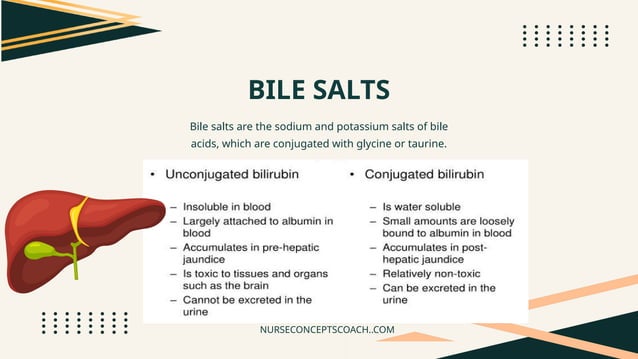 Bile juice, bile pigment, bile salts ppt | PPTX