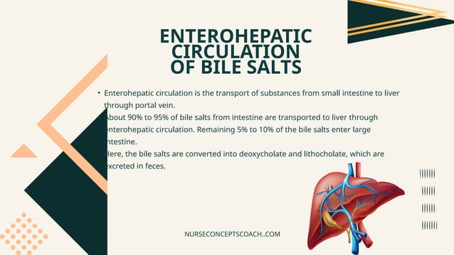Bile juice, bile pigment, bile salts ppt | PPTX