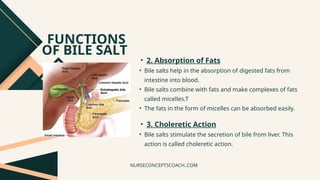 Bile juice, bile pigment, bile salts ppt | PPTX