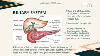 Bile juice, bile pigment, bile salts ppt | PPTX