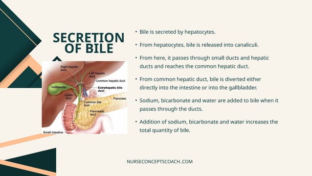Bile juice, bile pigment, bile salts ppt | PPTX