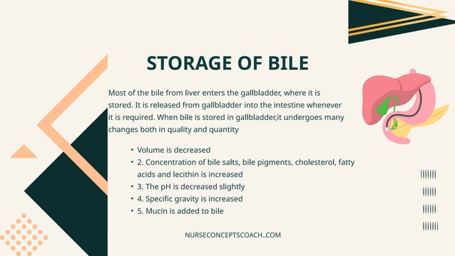 Bile juice, bile pigment, bile salts ppt | PPTX