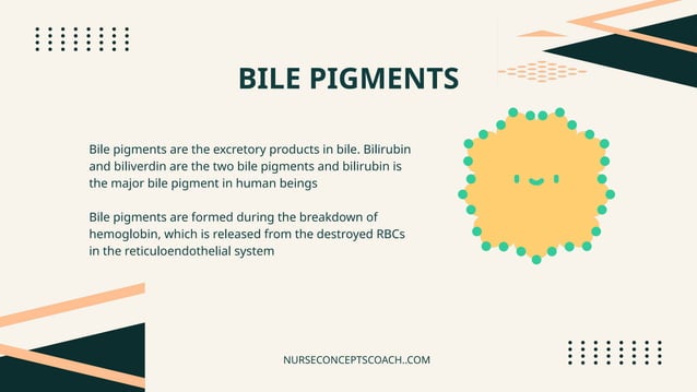 Bile juice, bile pigment, bile salts ppt | PPTX