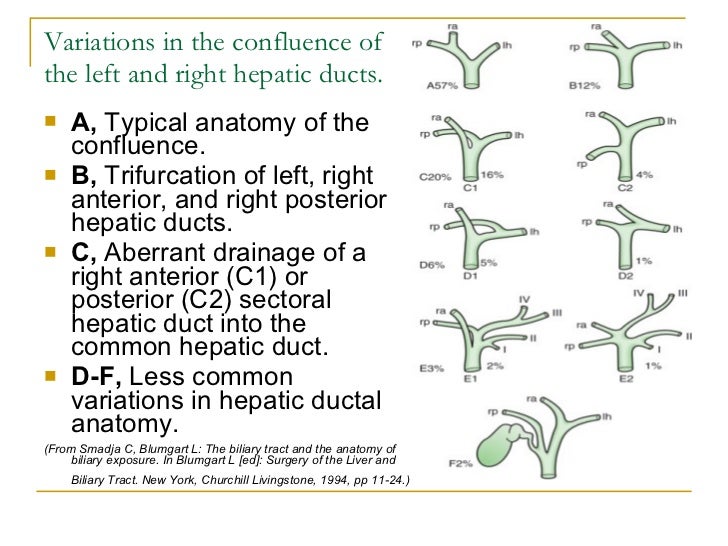 Bile leaks after lapchole Nir Hus MD., PhD.