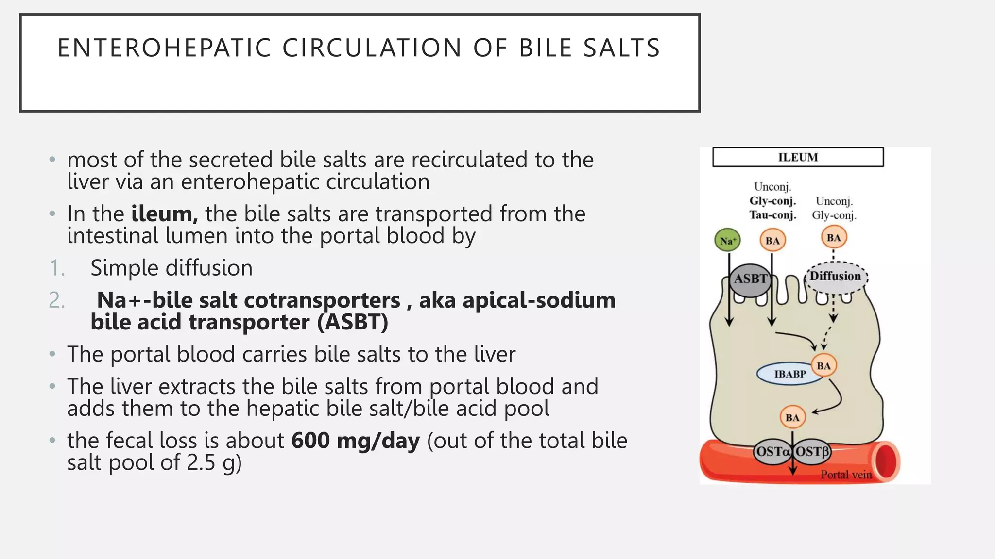 Bile physiology.pptx