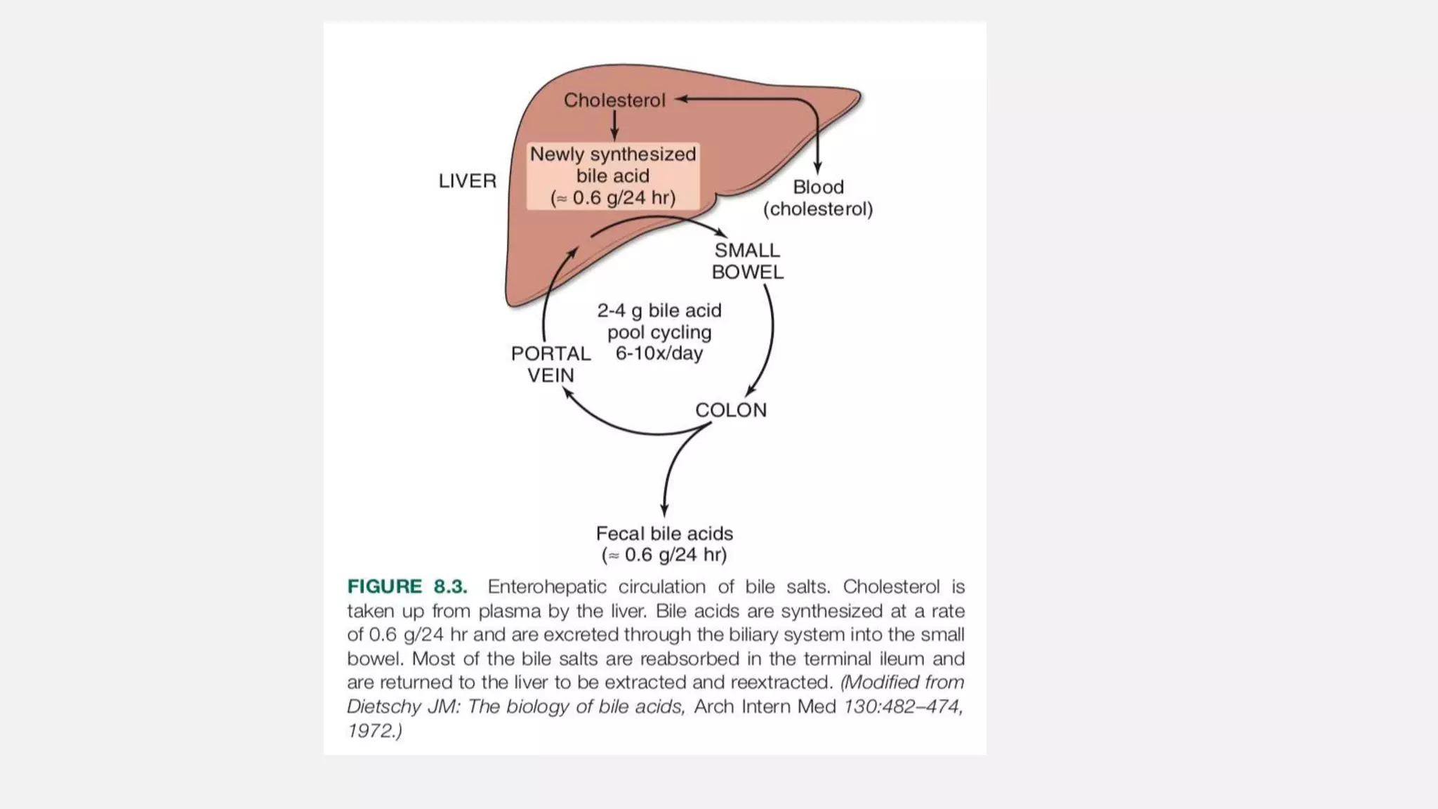 Bile physiology.pptx