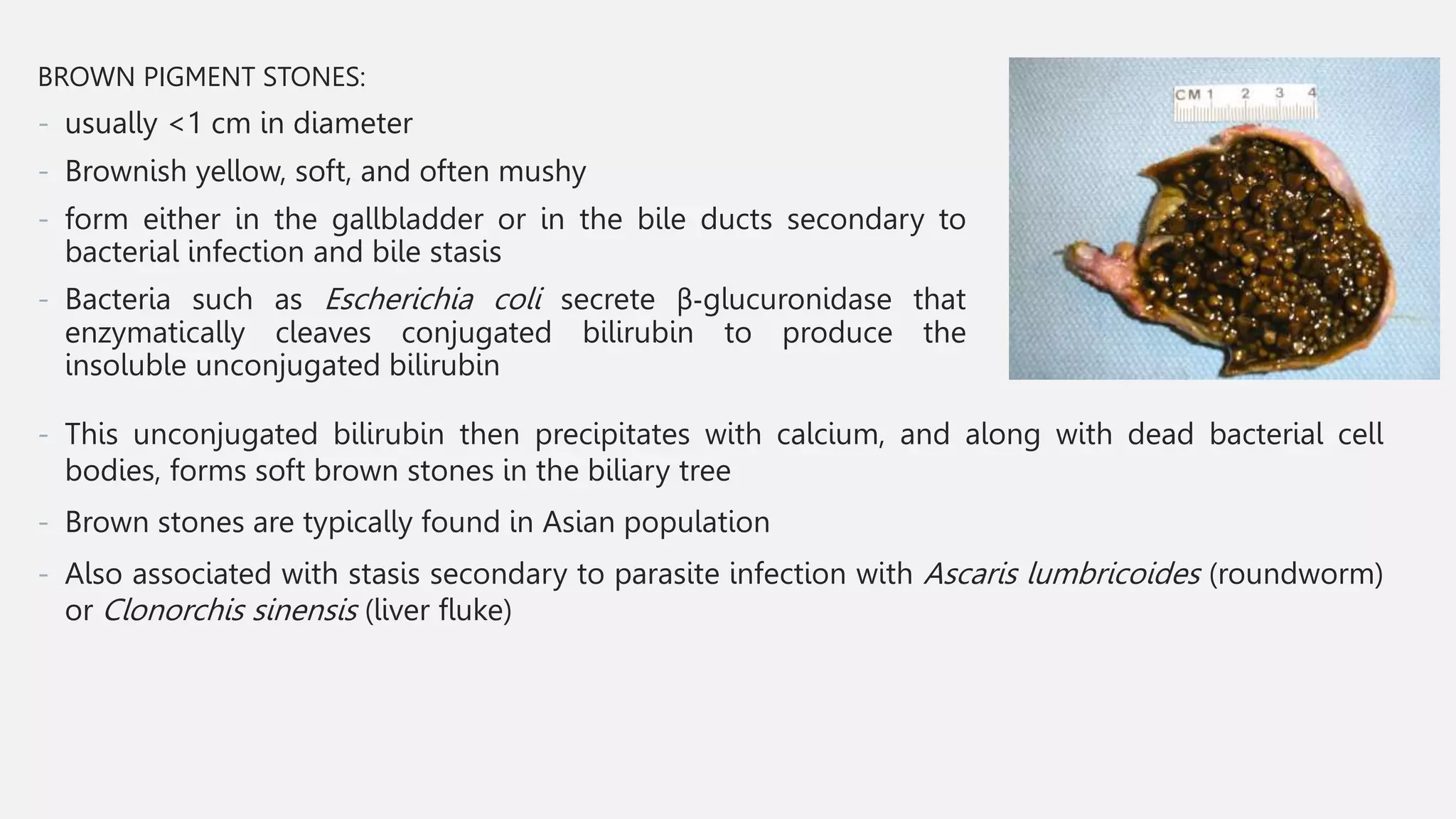 Bile physiology.pptx