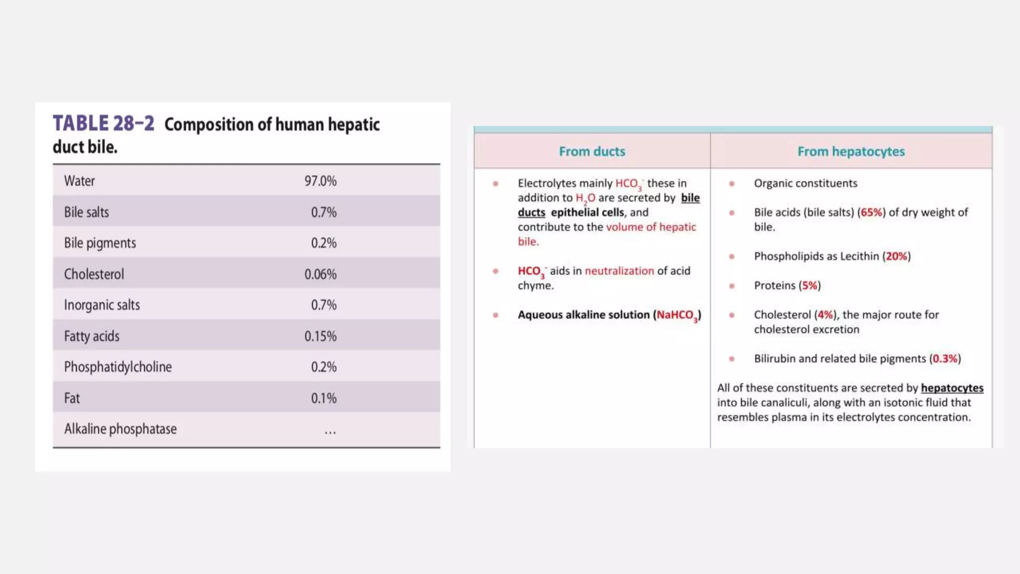 Bile physiology.pptx