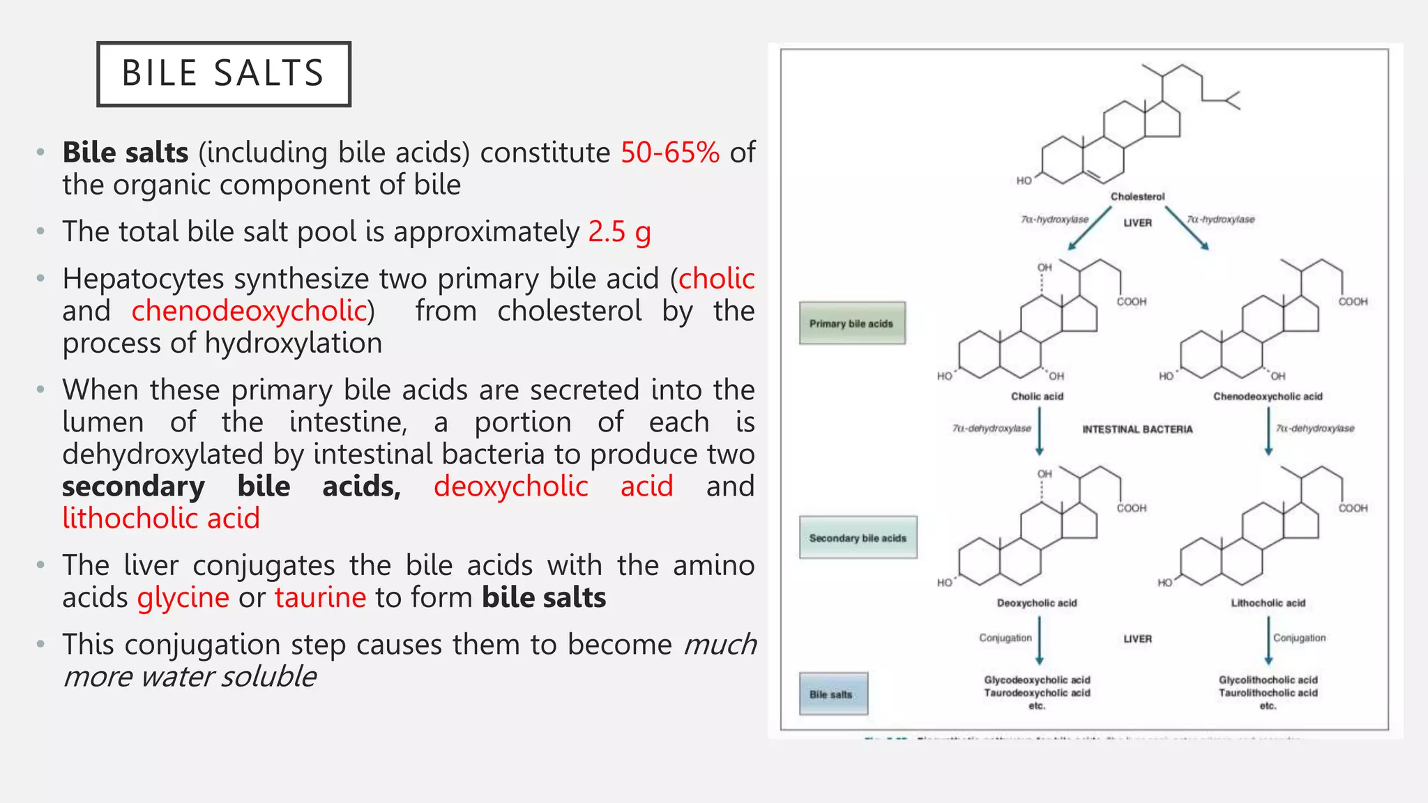 Bile physiology.pptx