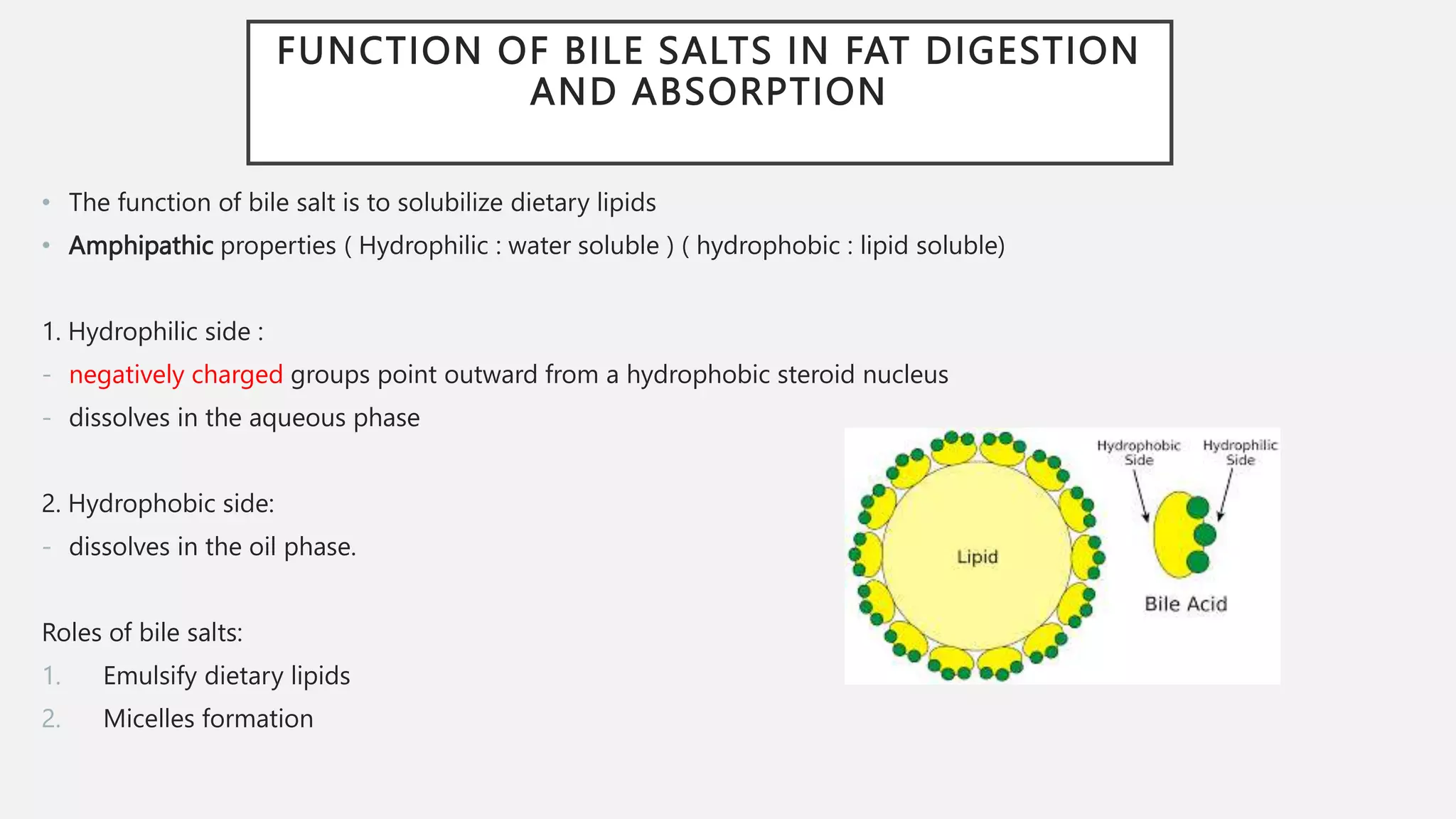 Bile physiology.pptx