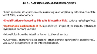 Bile Synthesis, Cholesterol and Lipoprotein metabolism MAA 2025.pptx