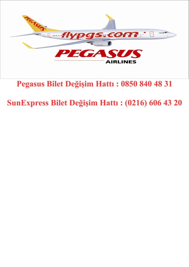 Pegasus Bilet Değişim | ODT