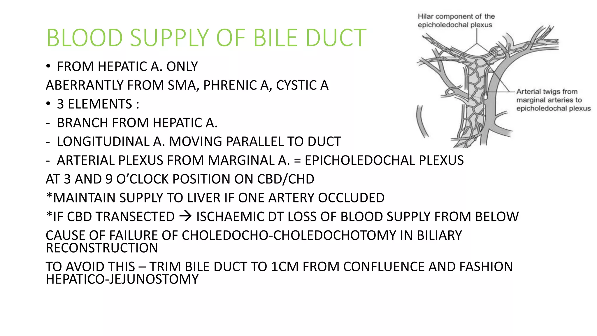 BILE TRACT ANATOMY.ppt