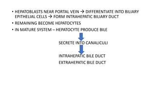 BILE TRACT ANATOMY.ppt