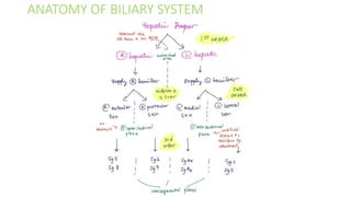 BILE TRACT ANATOMY.ppt