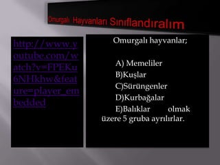 Canlılar Dünyası Slayt | PPTX