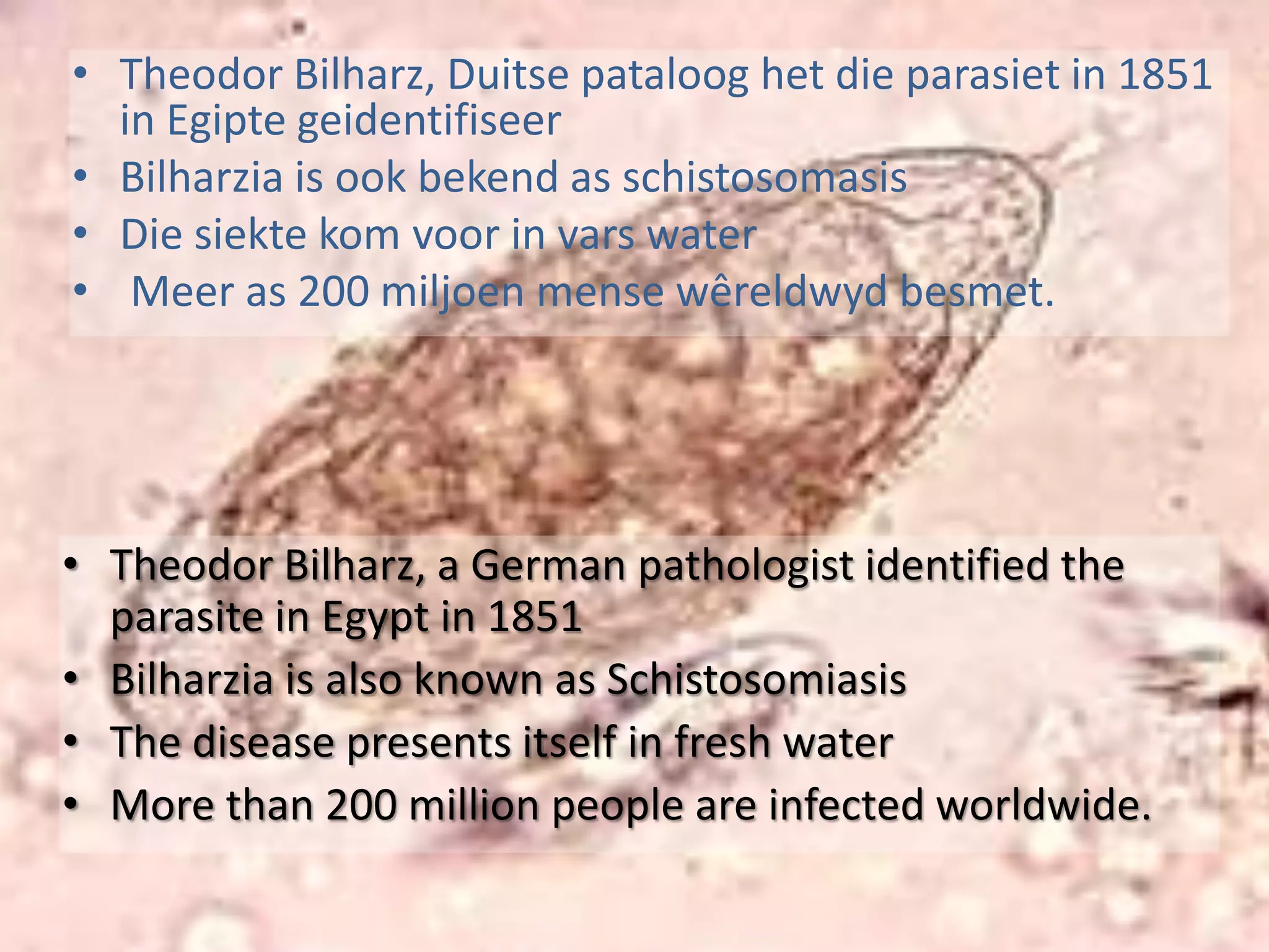 Bilharzia | PPTX